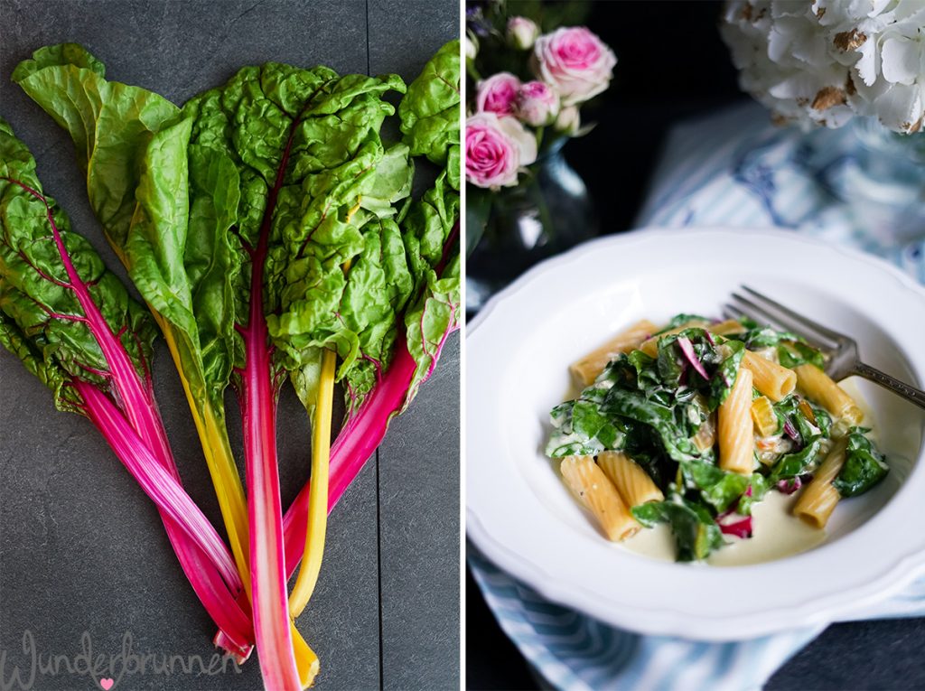 Pasta, bunter Mangold und Gorgonzola - Wunderbrunnen